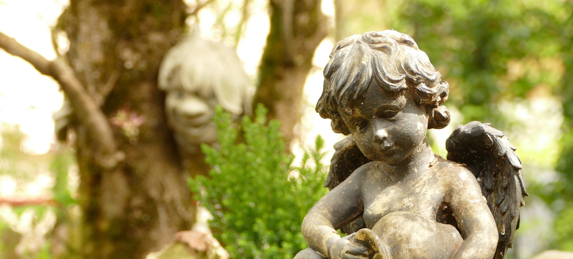 Statuecraft Collection - Statuecraft